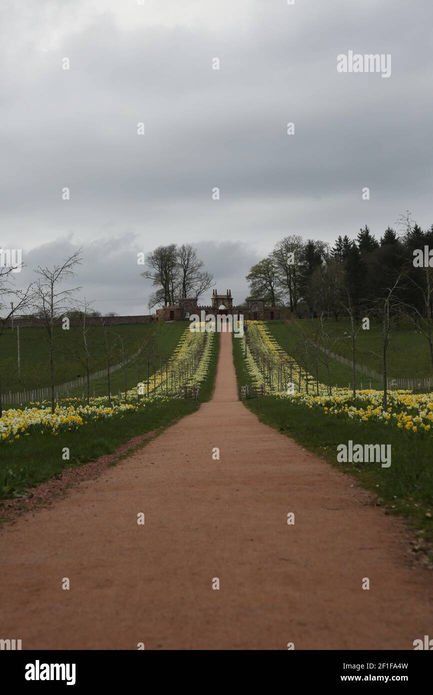 Dumfries House, Cumnock , East Ayrshire, Scotland, UK Grounds and ...