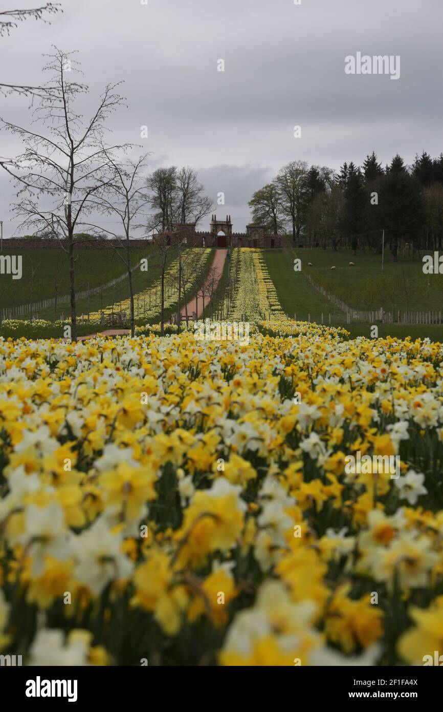 Dumfries House, Cumnock , East Ayrshire, Scotland, UK Grounds and ...