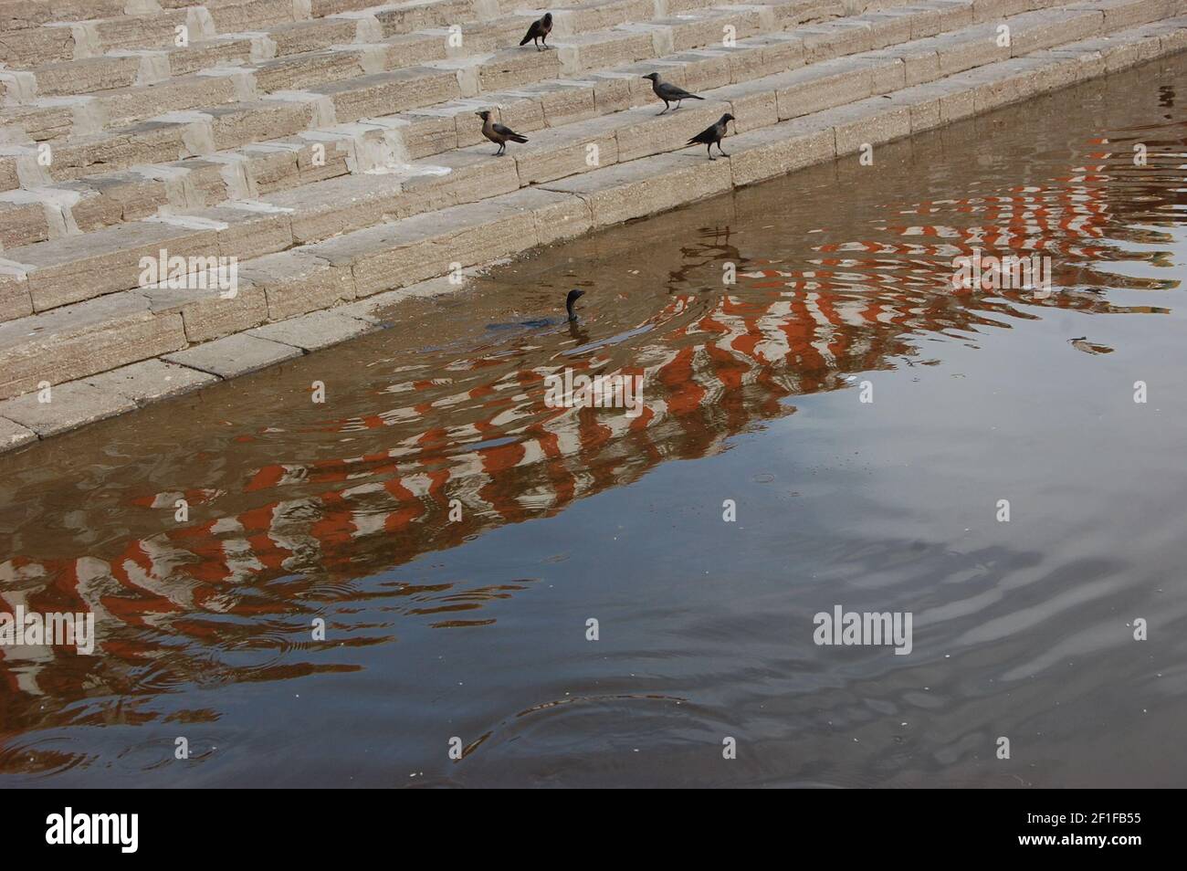 Dock with birds hi-res stock photography and images - Alamy