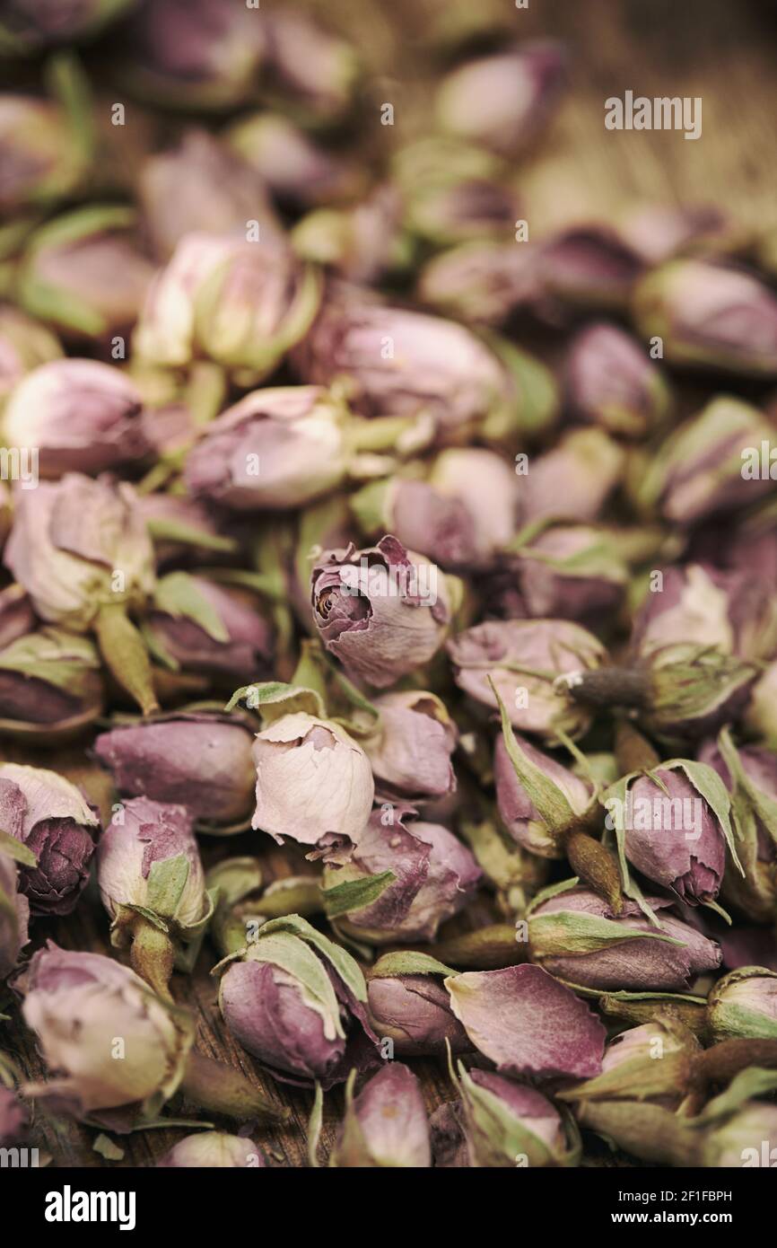 A vertical shot of dry buds of roses Stock Photo - Alamy