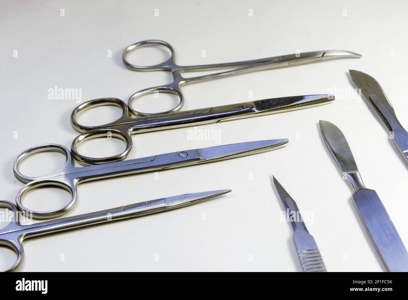 Dissection kit hi-res stock photography and images - Alamy