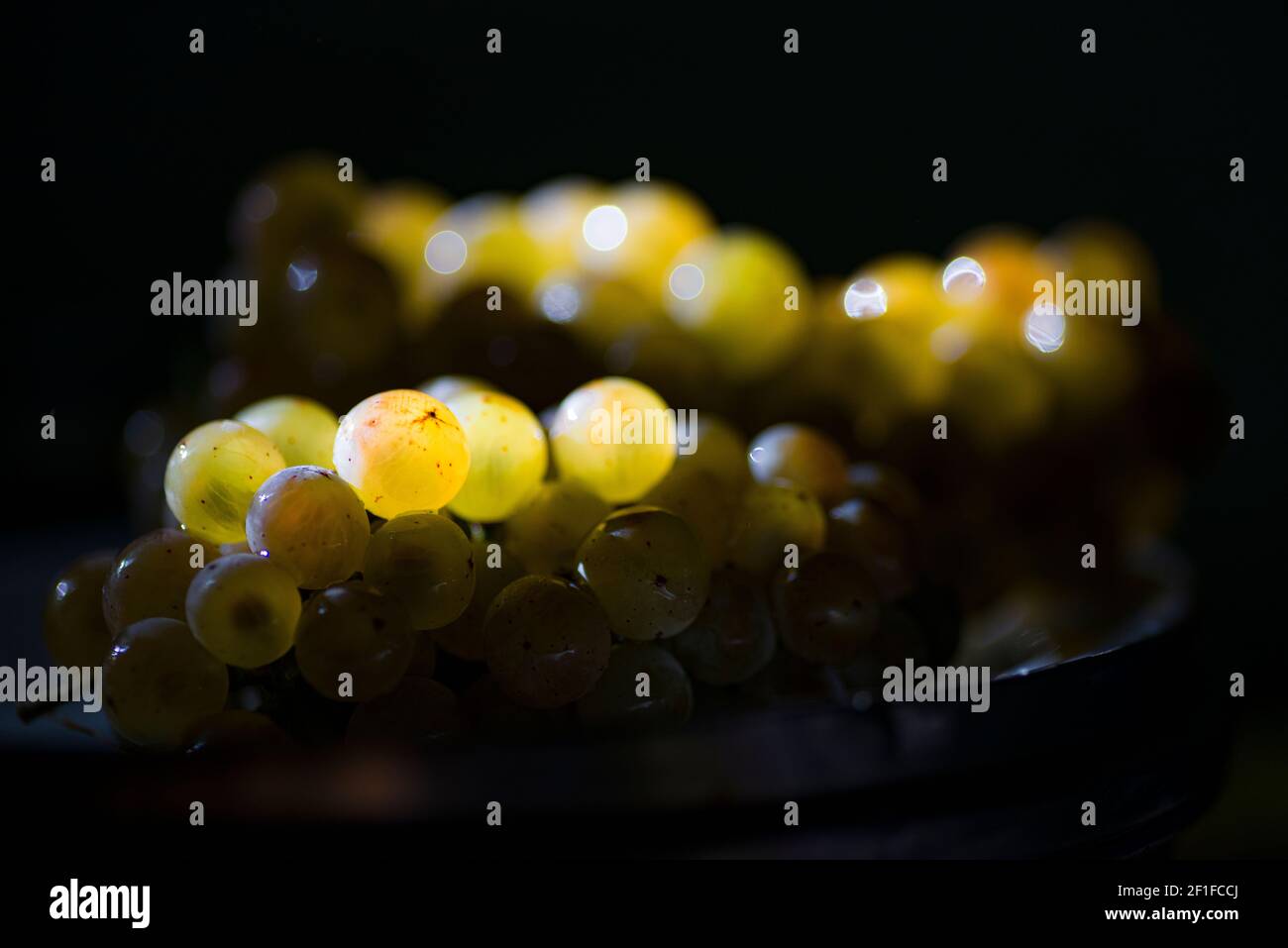Riesling grape in contrast sun lite Stock Photo - Alamy