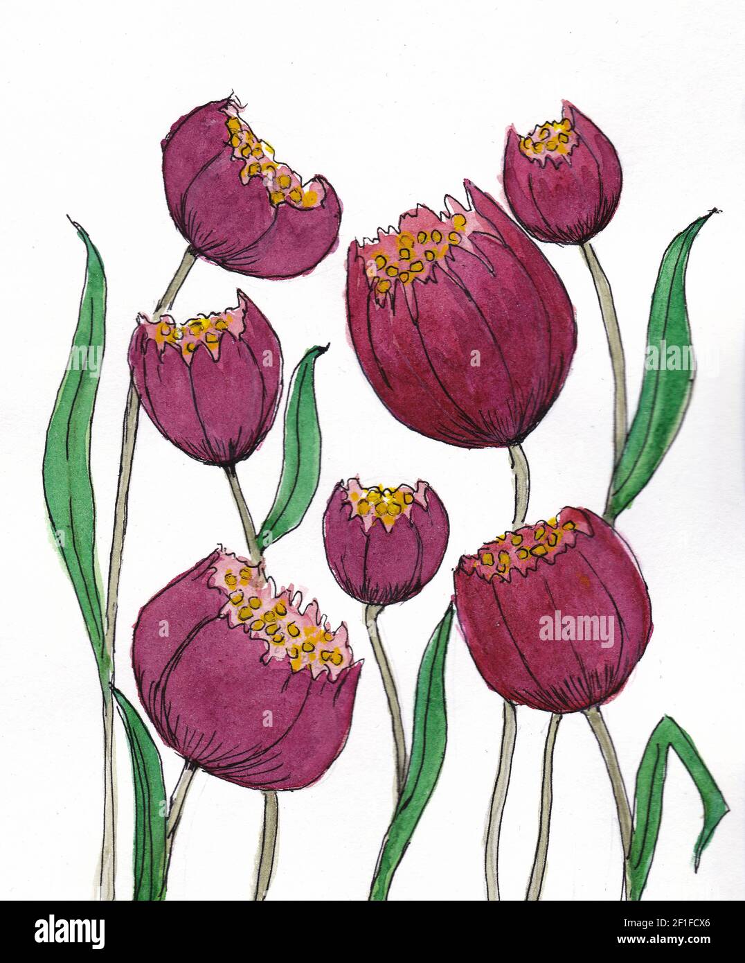 Burgundy flowers watercolor illustration. Freehand drawing on textured ...