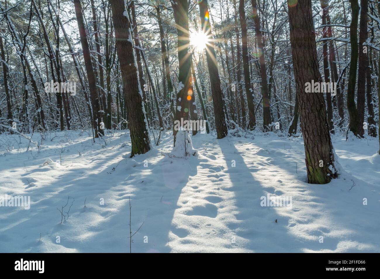 White sun ray hi-res stock photography and images - Alamy