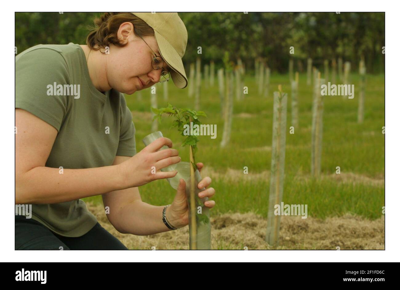 Thames Chase Community Forest....Broadfields Farm home to the Thames ...