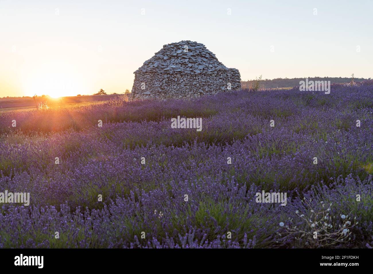 Round stone house in the lavender fields in the provence in France ...