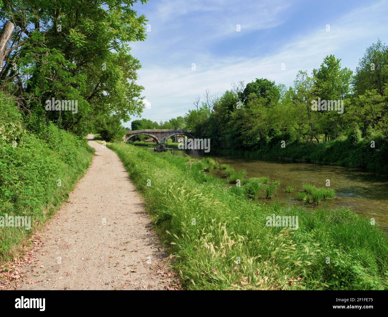 spring landscape,a narrow country path that runs along a small river ...