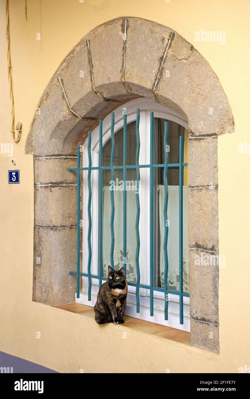 Dark cat by a large barred window Stock Photo - Alamy