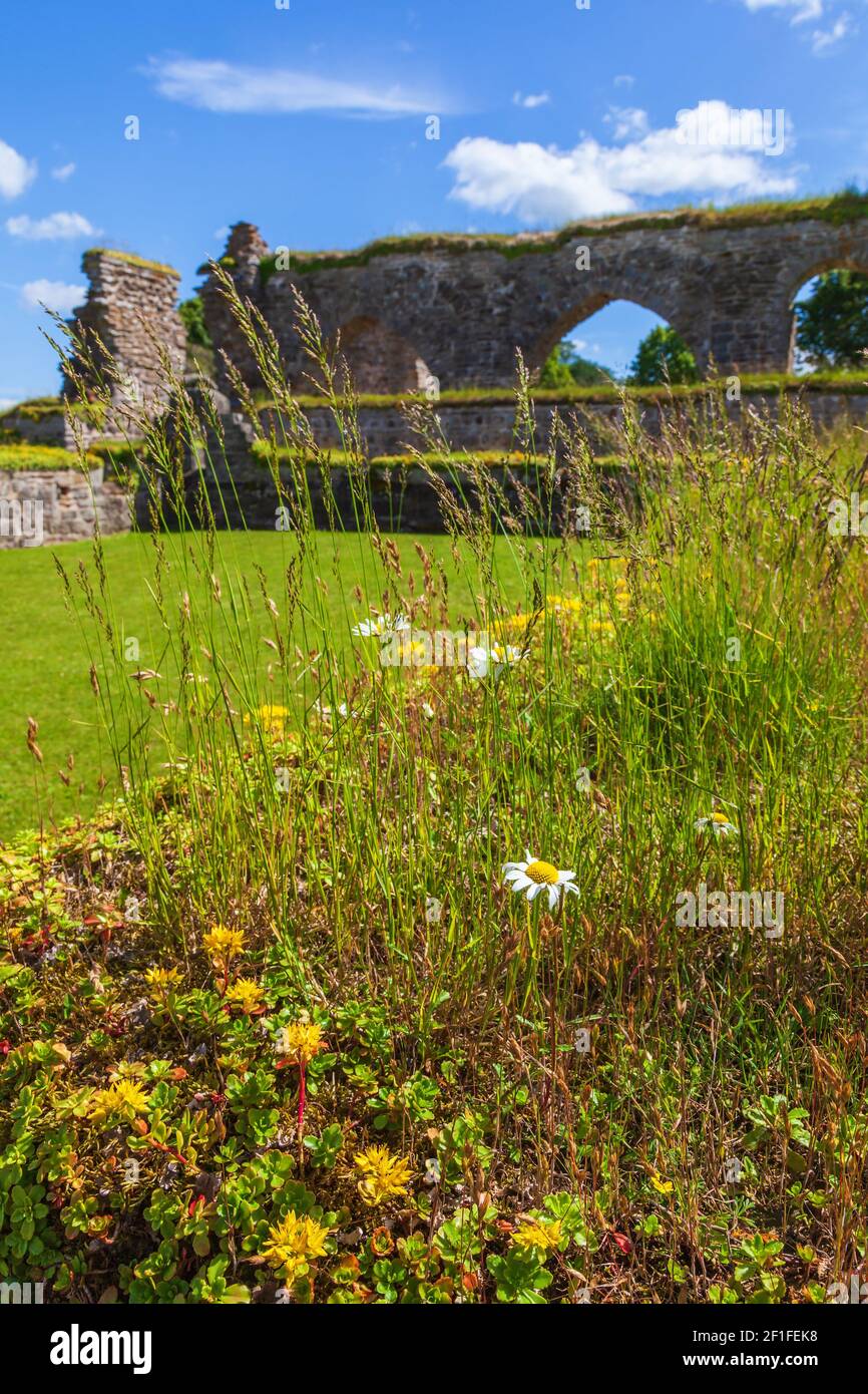 Archway of wild flowers hi-res stock photography and images - Alamy