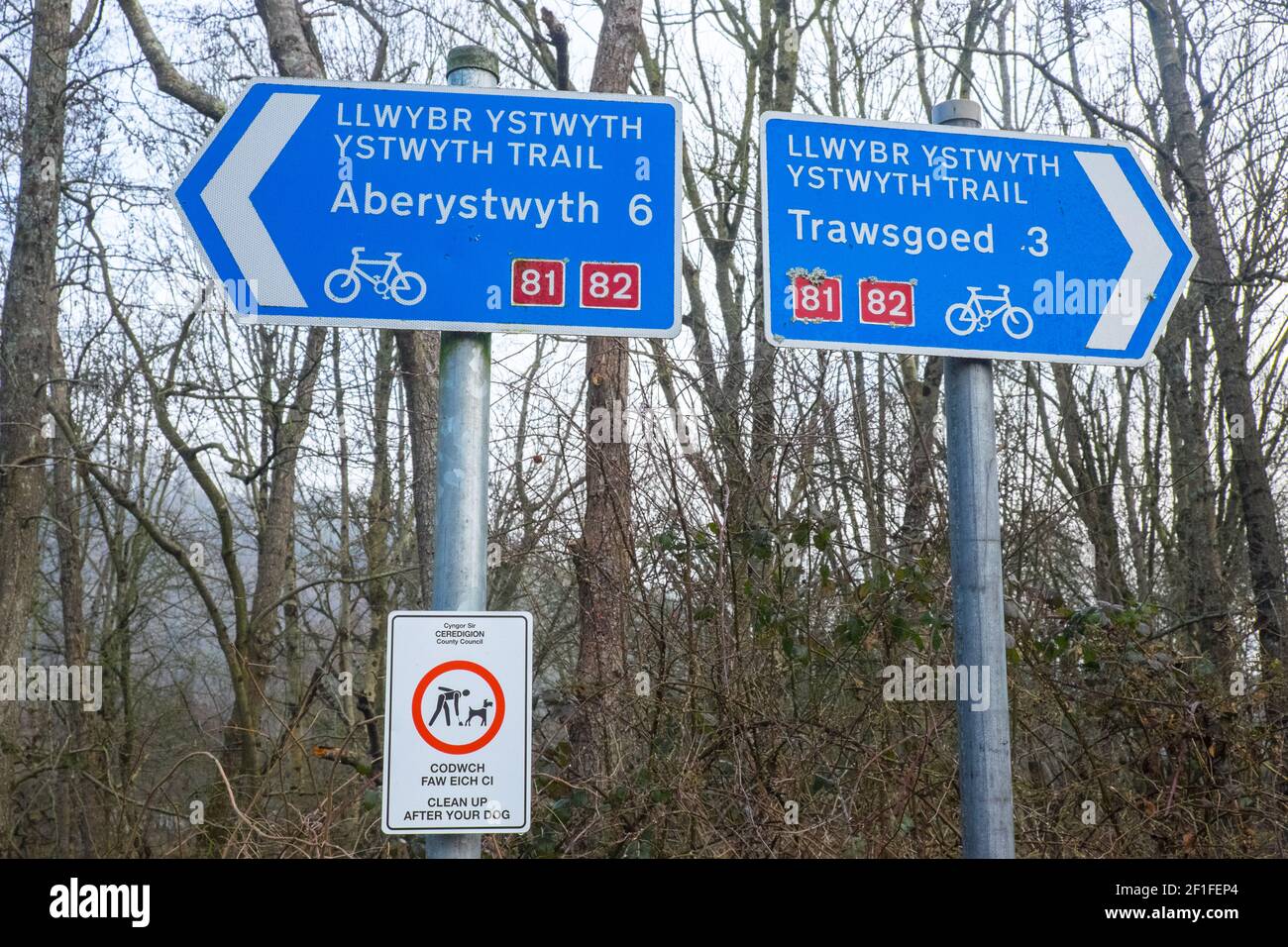 The Ystwyth Trail,a 21 mile,34 kilometer,multi-use trail,used, by dog ...
