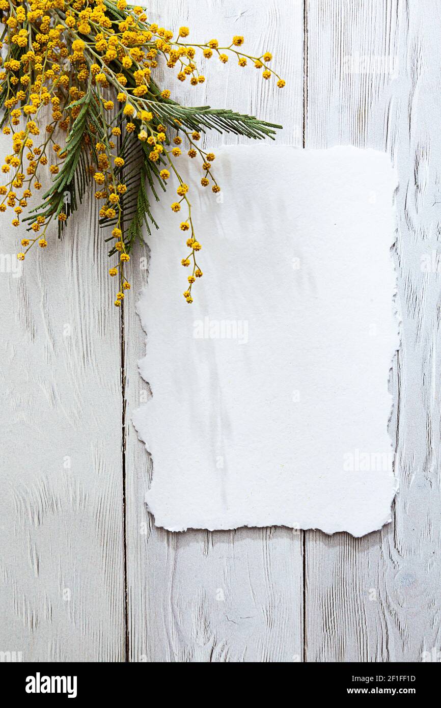 Modern spring stationery still life. Blank white sheet of paper and ...