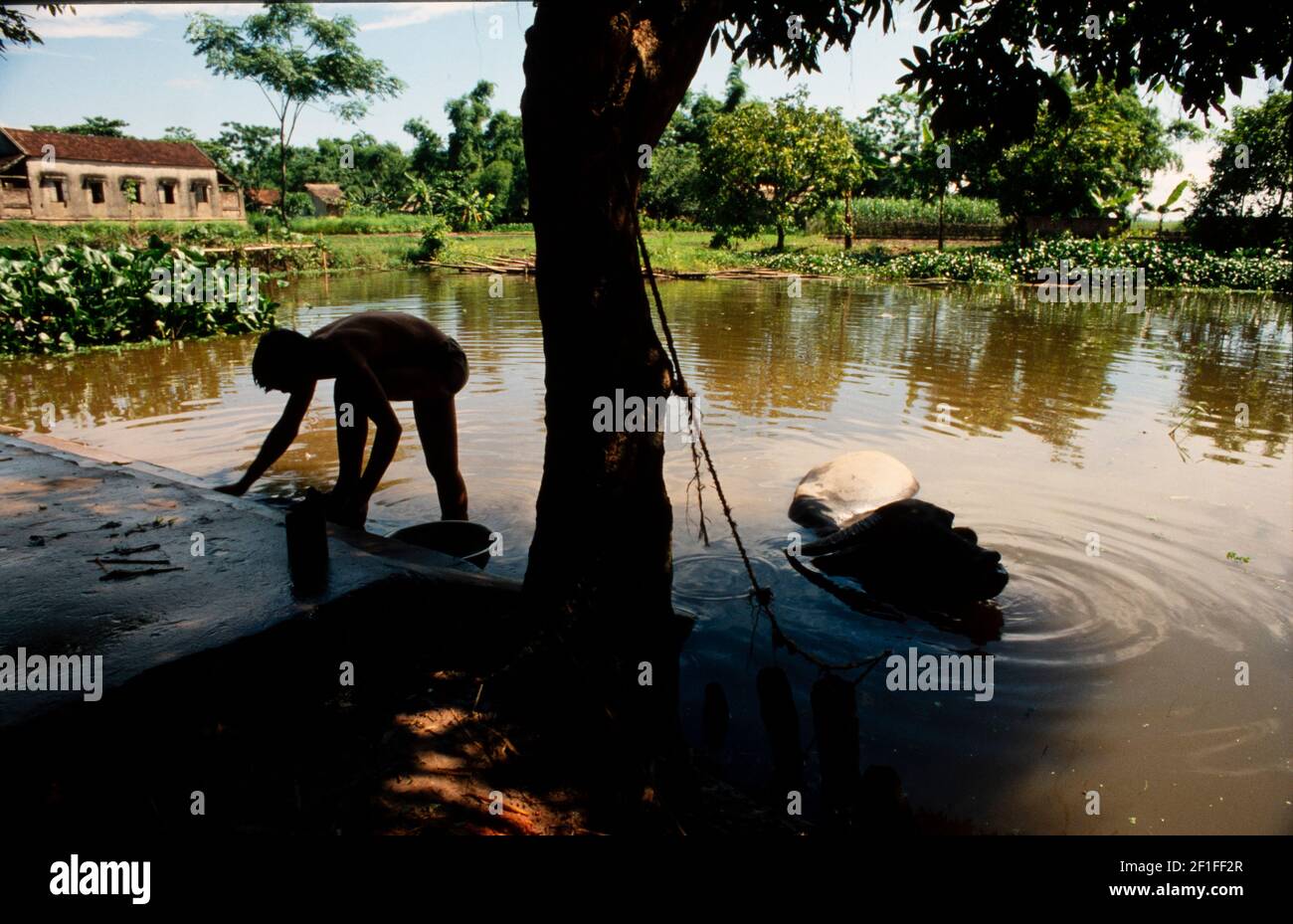 Rural vietnam life hi-res stock photography and images - Alamy