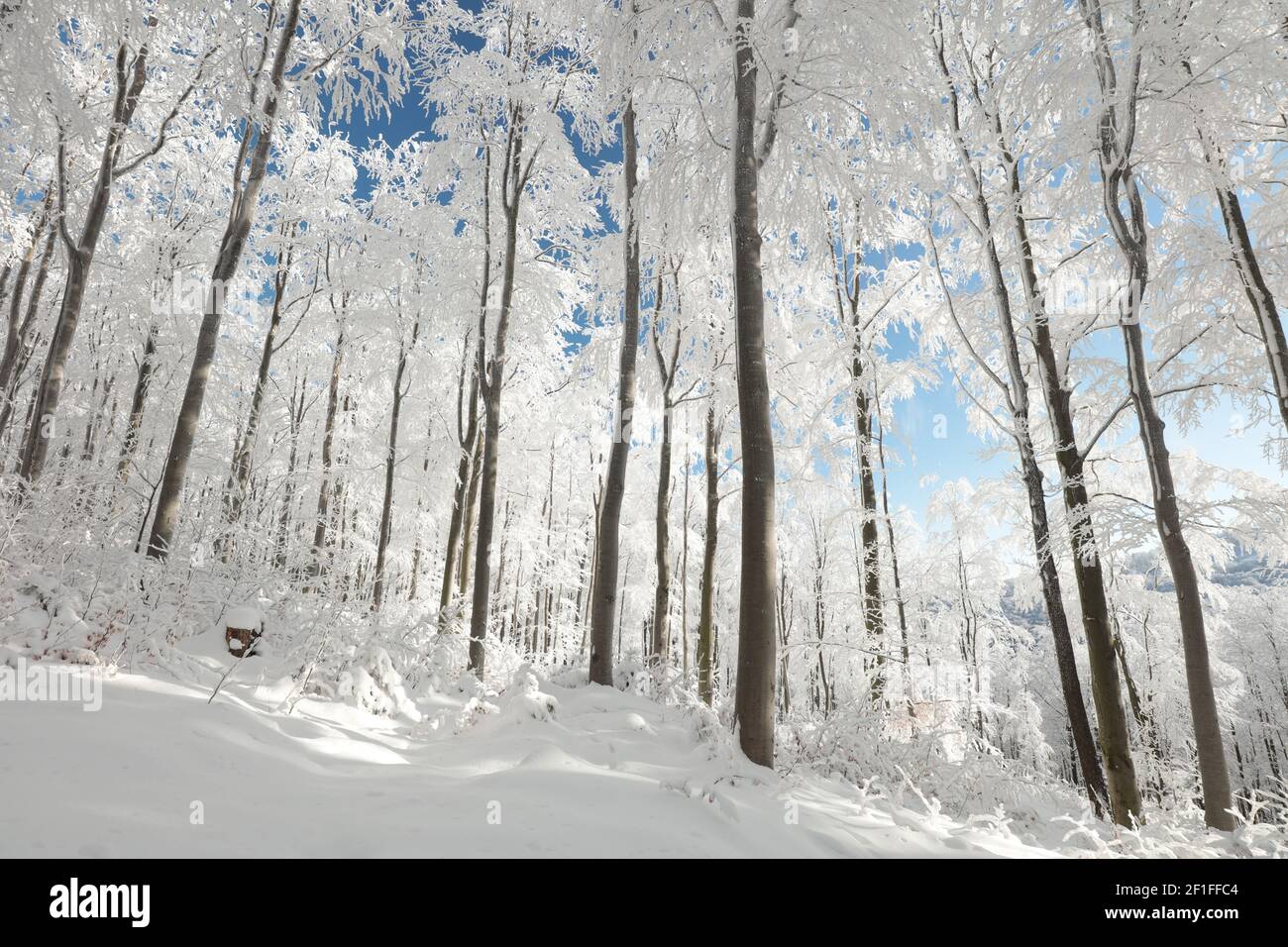 Sunny morning view hi-res stock photography and images - Alamy