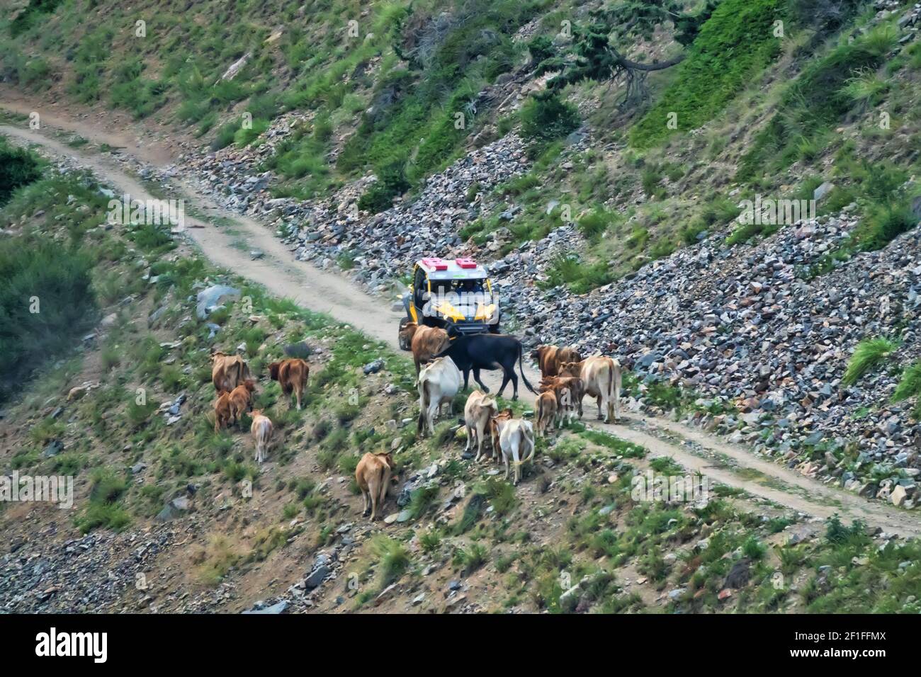 Buggy car (goes over all terrain) rides on a mountain road (alpine path ...