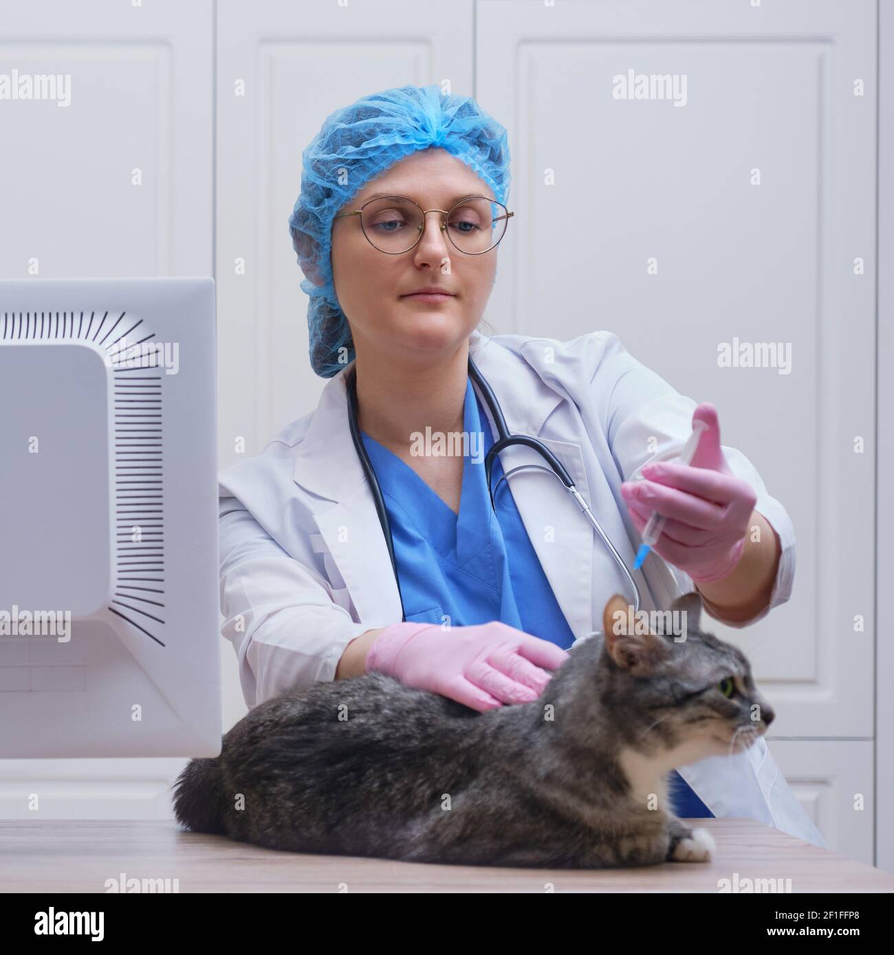 Injection of medication into the withers of a pet by a veterinary ...
