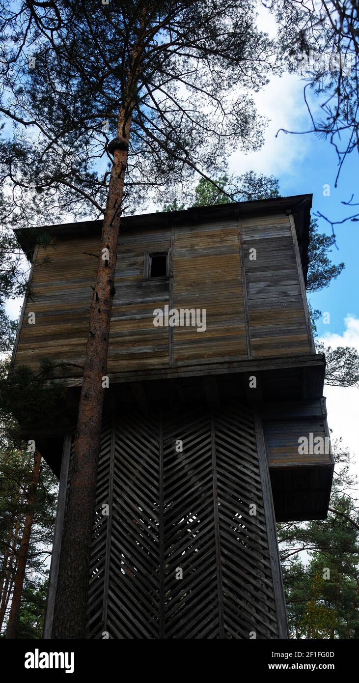 Unusual tower house in the forest. Fancy domus for singleton, and ...