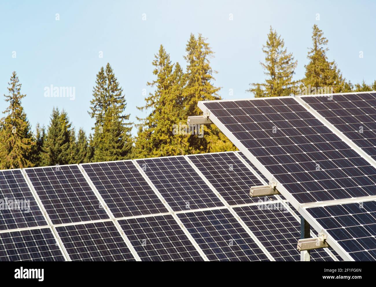 Solar panel collectors in forest, coniferous trees background, clear sky above, closeup detail ...