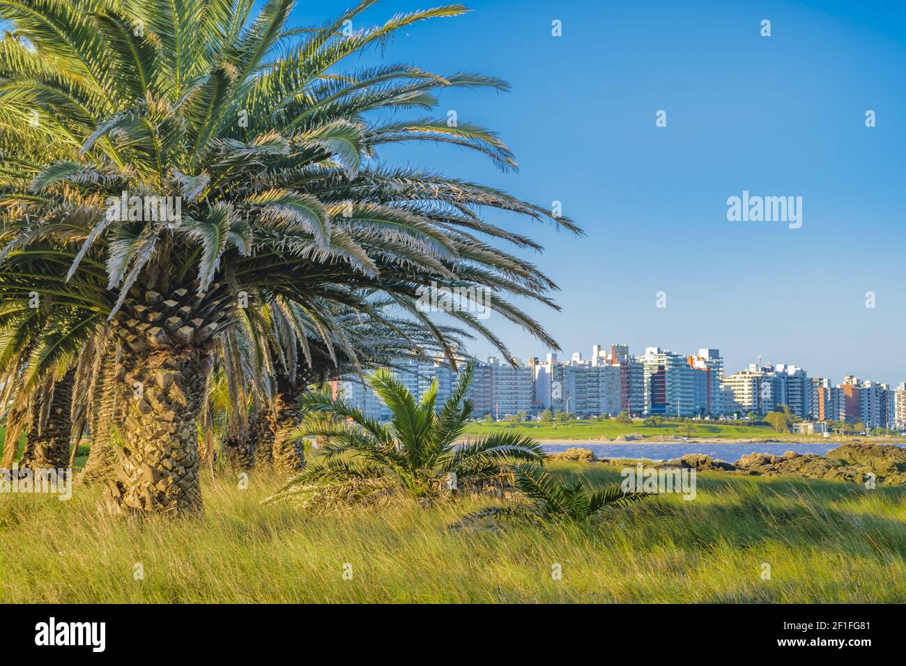 Waterfront Park, Montevideo, Uruguay Stock Photo - Alamy