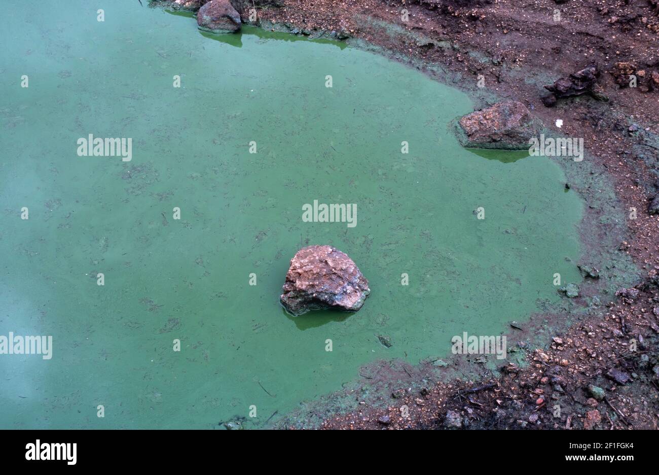 Eutrophication High Resolution Stock Photography and Images - Alamy
