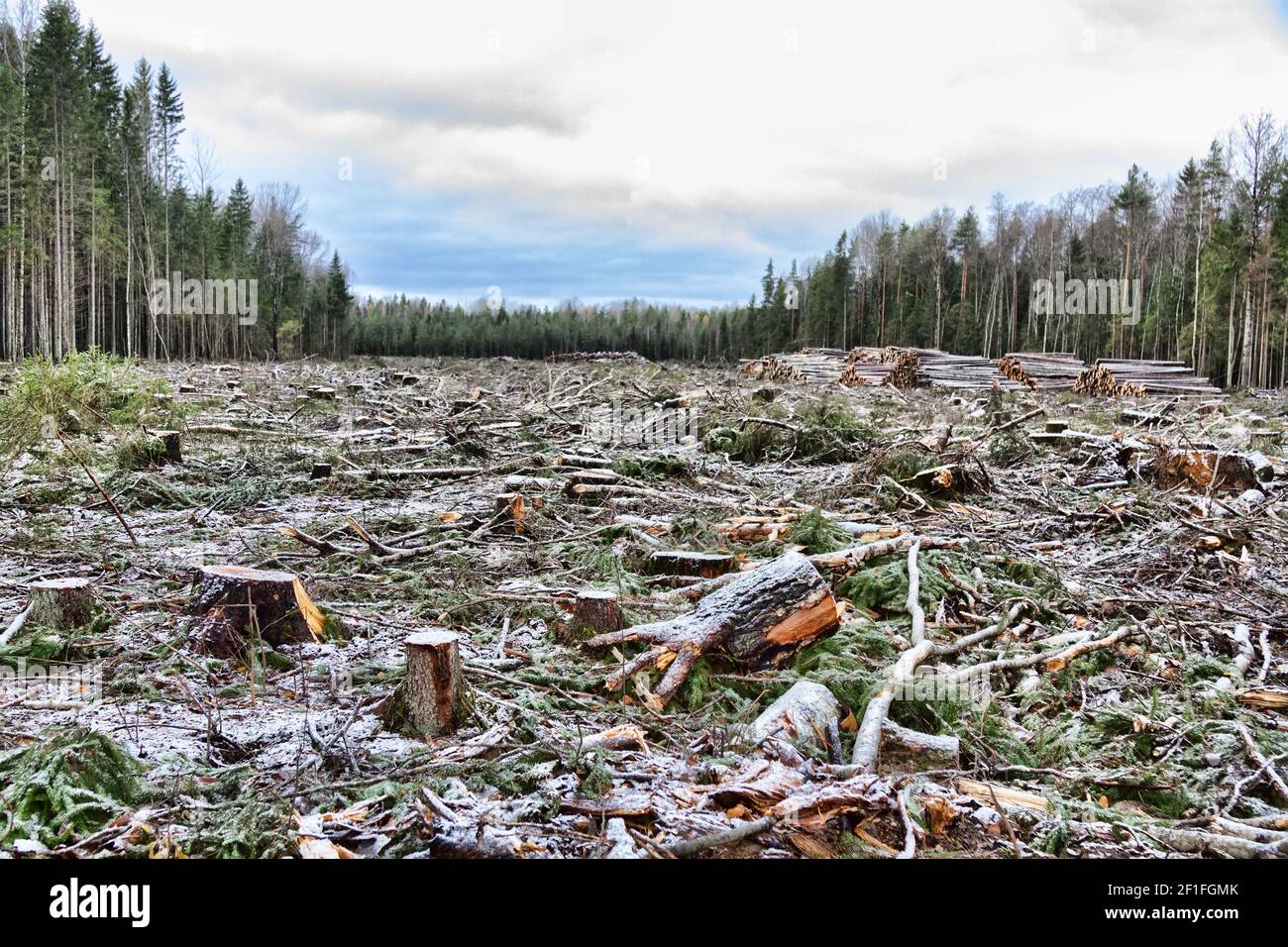 Heaps of vegetation hi-res stock photography and images - Alamy