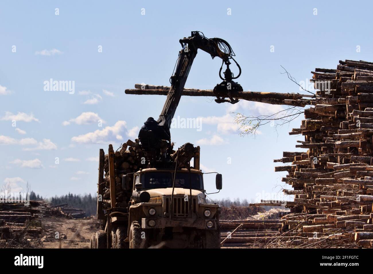Forest industry. Operations for loading-unloading logging truck at ...