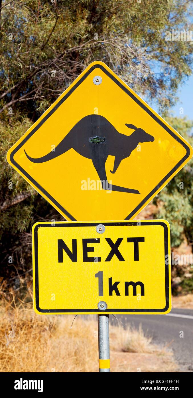 In australia the sign for wild kangaroo Stock Photo - Alamy