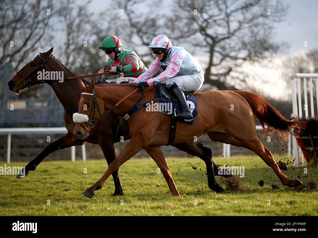 Pay the piper horse hi-res stock photography and images - Alamy