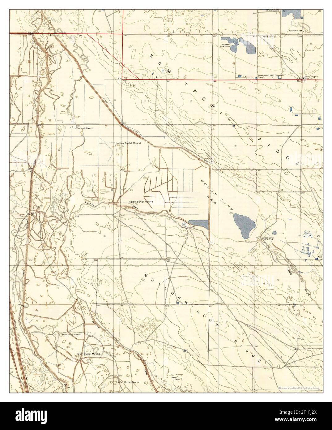 Rare goose Cut Out Stock Images & Pictures - Alamy