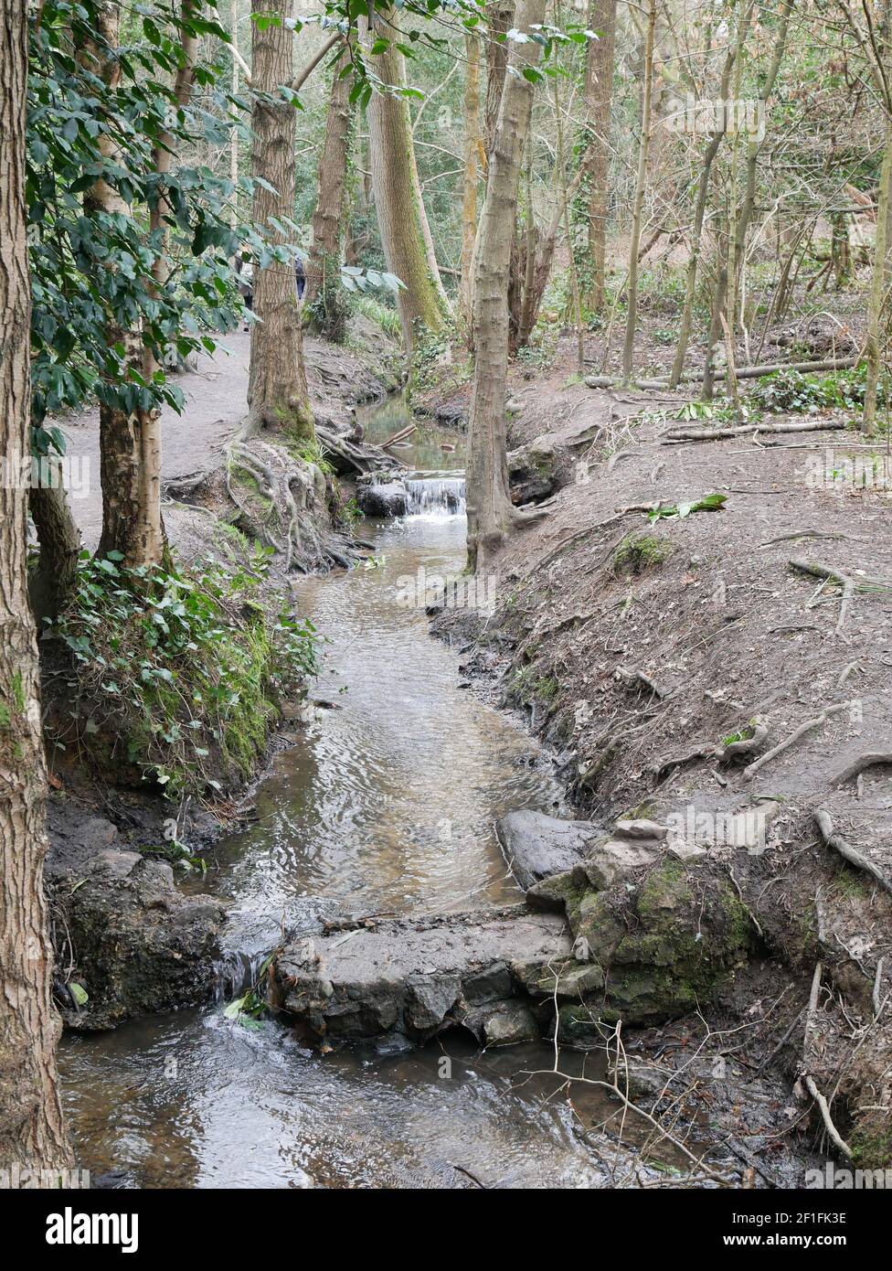 Hayes and Keston Commons, Kent, England Stock Photo - Alamy