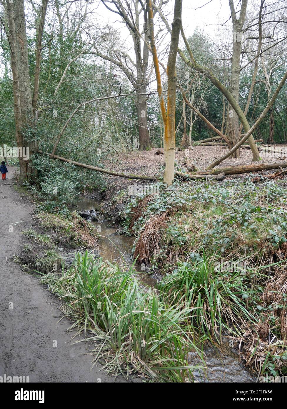 Hayes and Keston Commons, Kent, England Stock Photo - Alamy