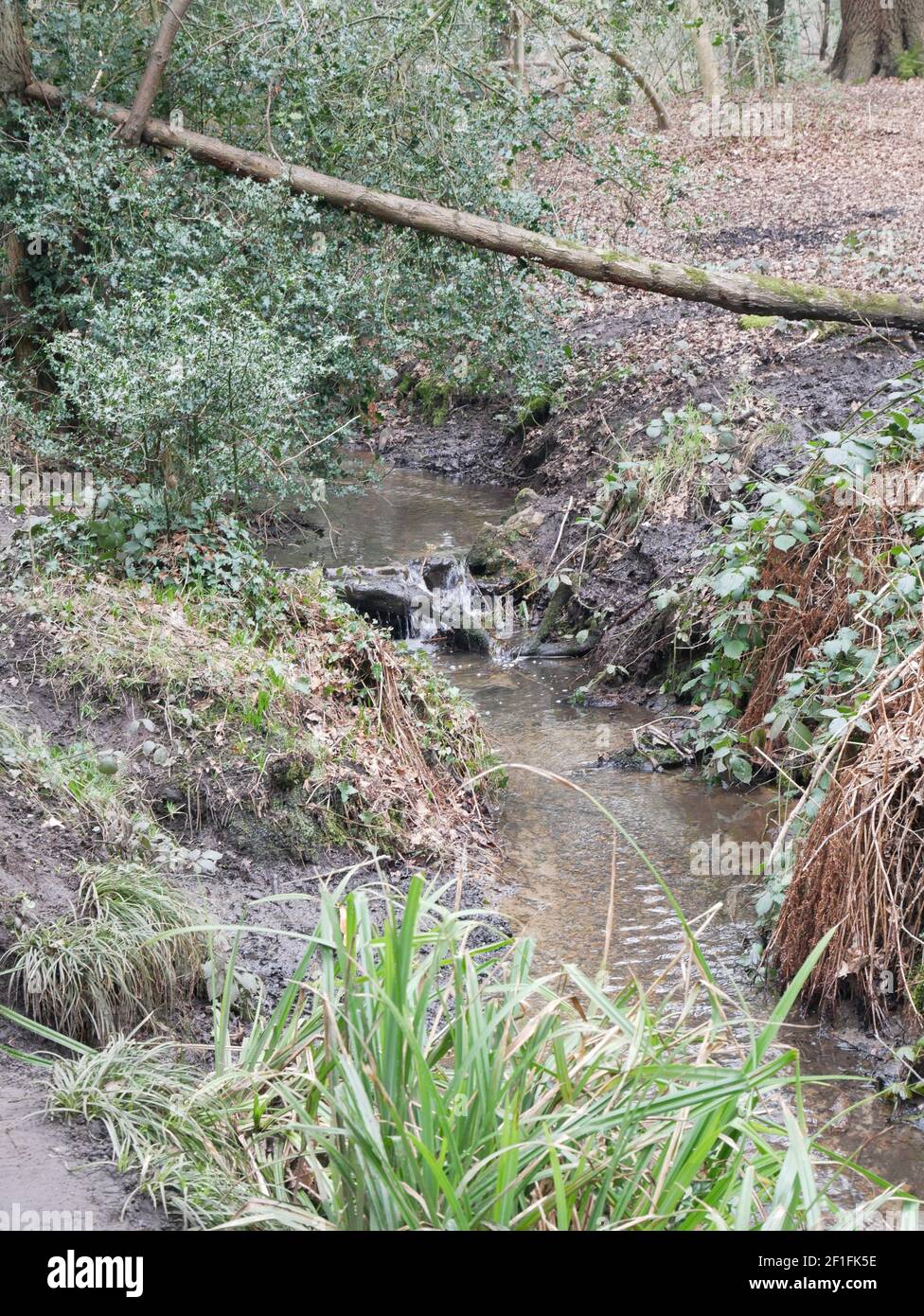 Hayes and Keston Commons, Kent, England Stock Photo - Alamy