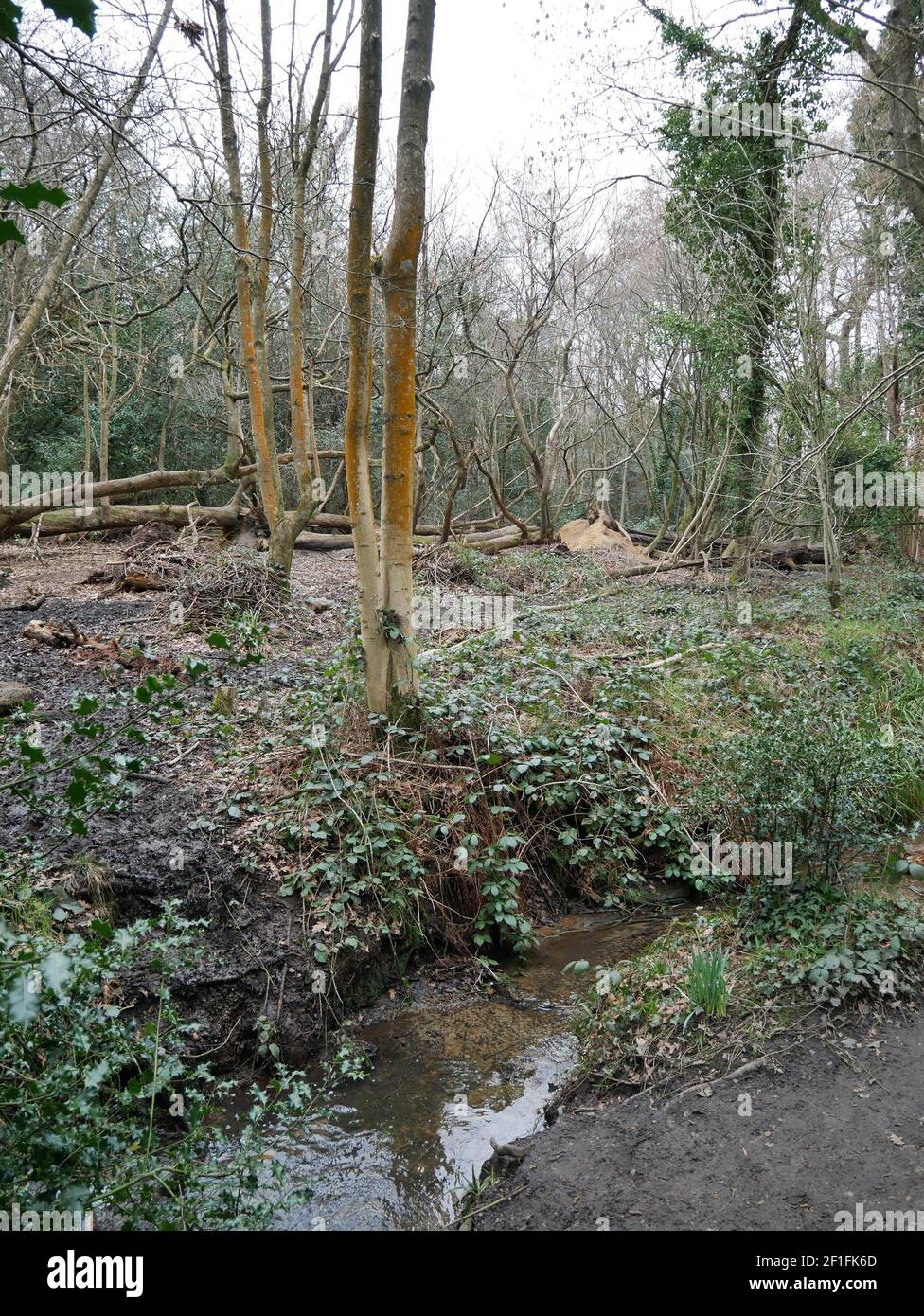 Hayes and Keston Commons, Kent, England Stock Photo - Alamy