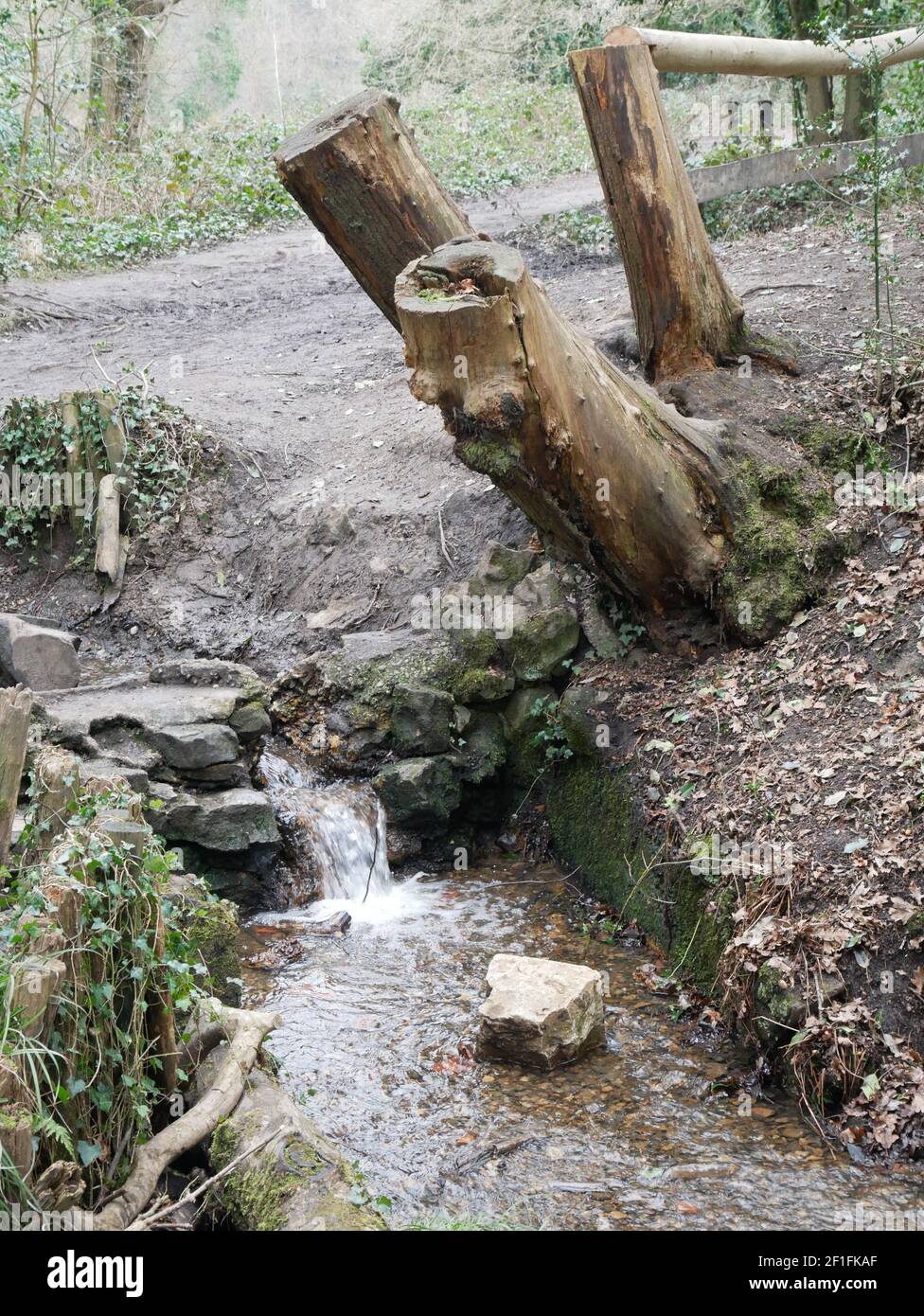 Hayes and Keston Commons, Kent, England Stock Photo - Alamy