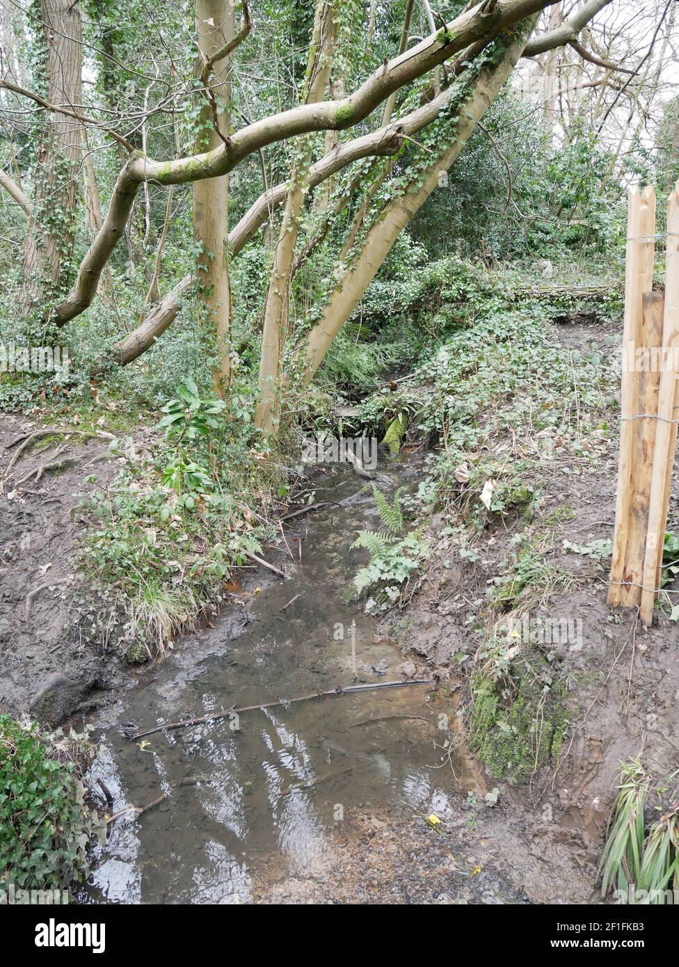 Hayes and Keston Commons, Kent, England Stock Photo - Alamy