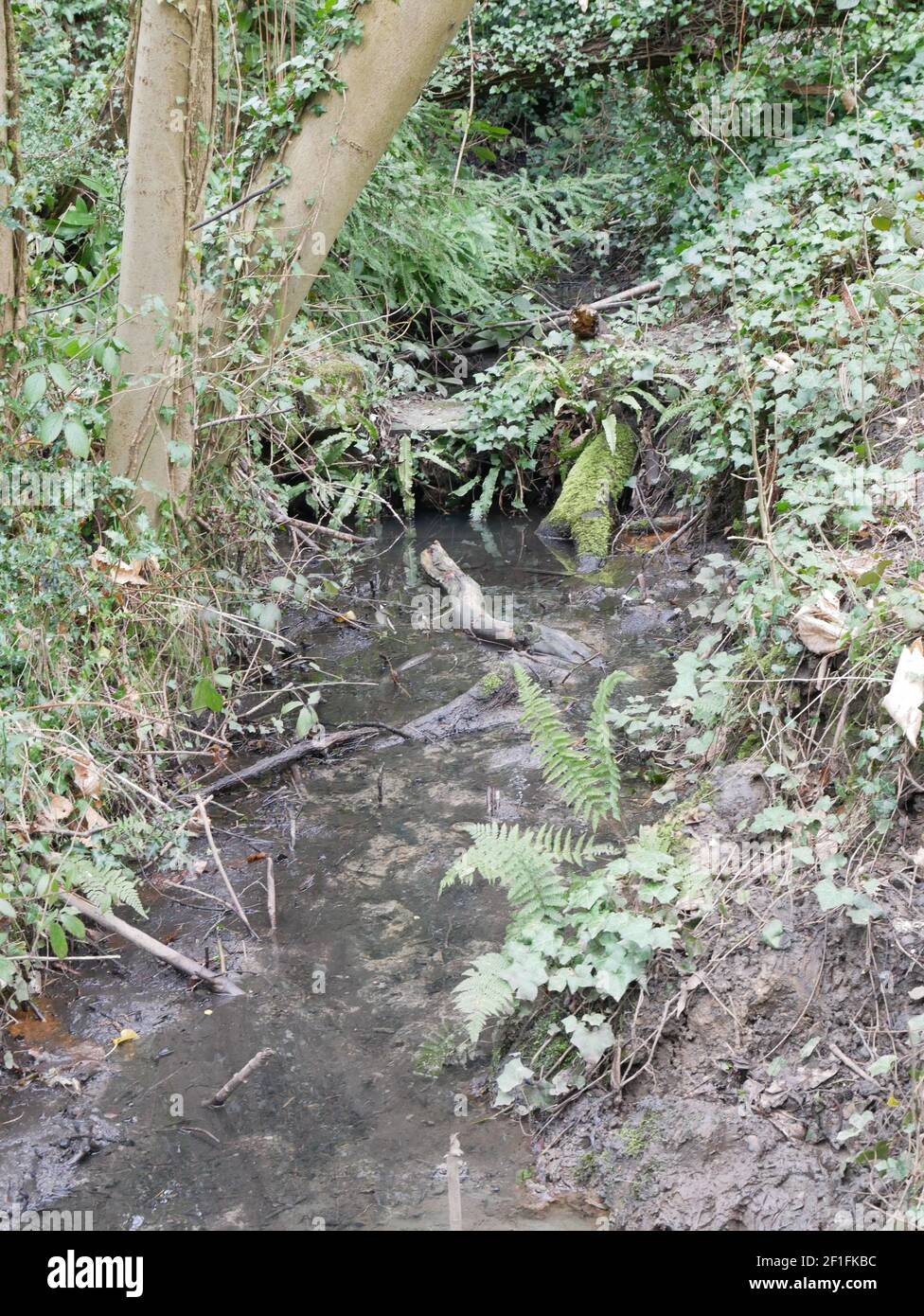 Hayes and Keston Commons, Kent, England Stock Photo - Alamy