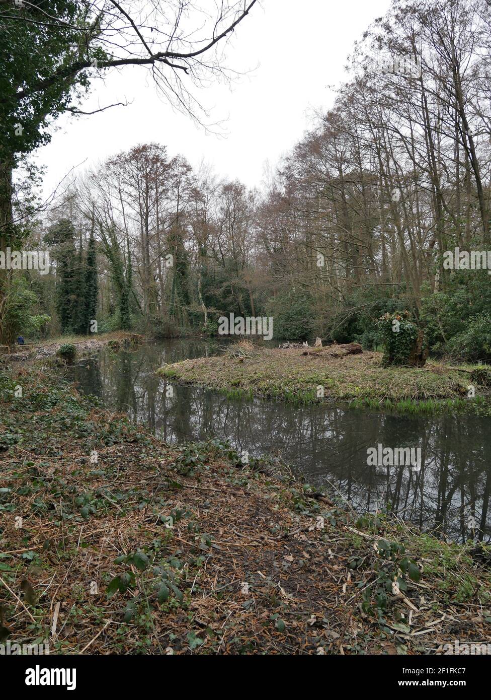 Hayes and Keston Commons, Kent, England Stock Photo - Alamy