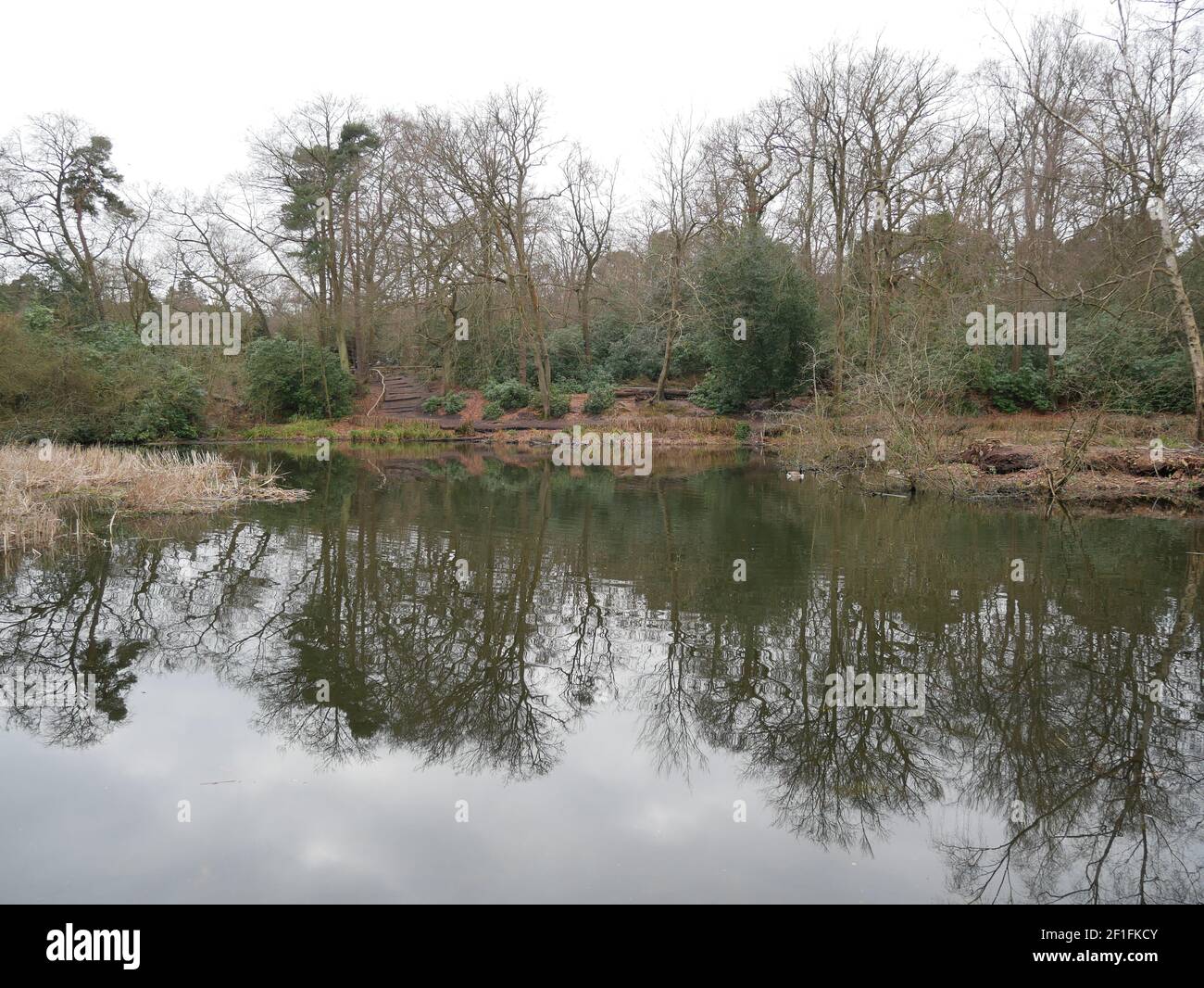 Hayes and Keston Commons, Kent, England Stock Photo - Alamy