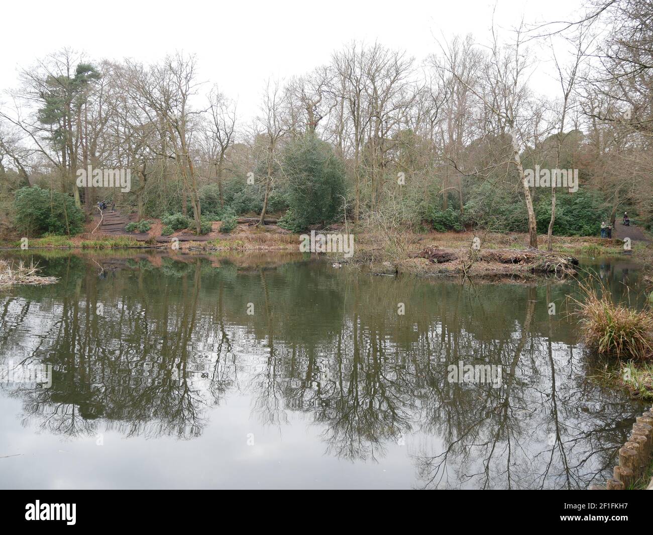Hayes and Keston Commons, Kent, England Stock Photo - Alamy