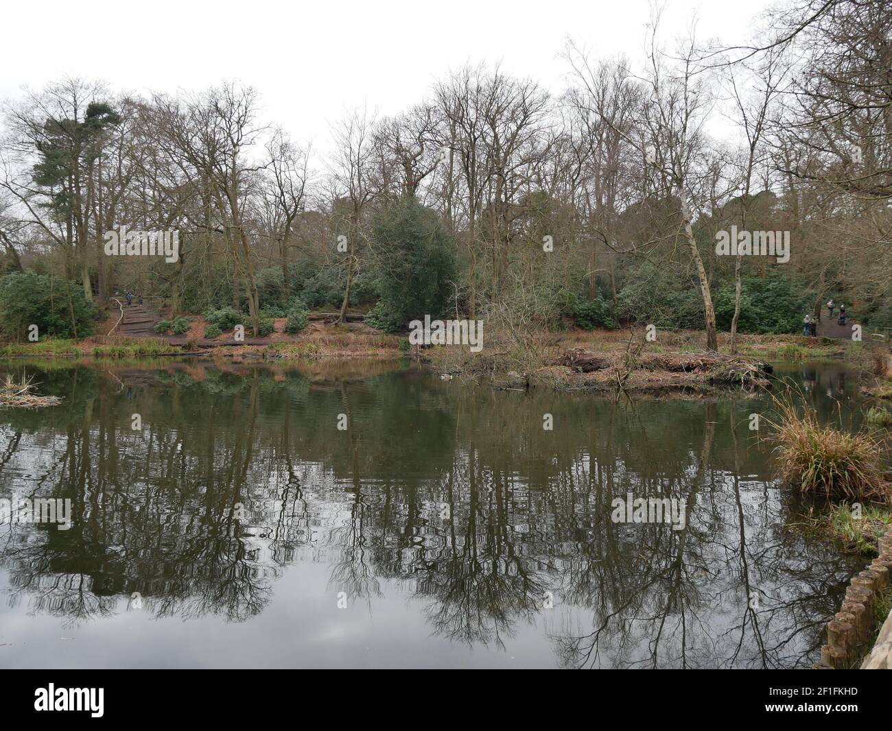 Hayes and Keston Commons, Kent, England Stock Photo - Alamy