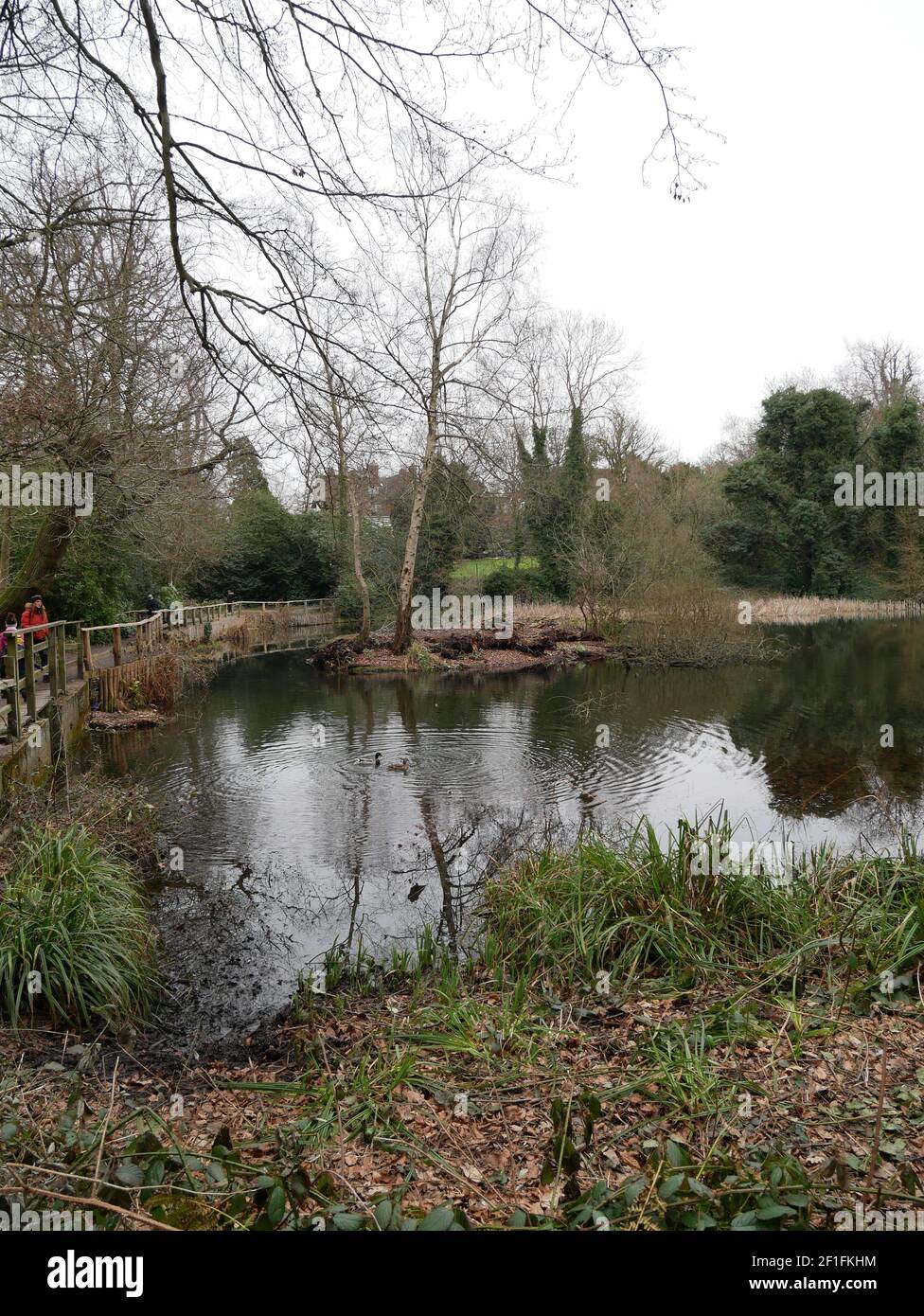 Hayes and Keston Commons, Kent, England Stock Photo - Alamy