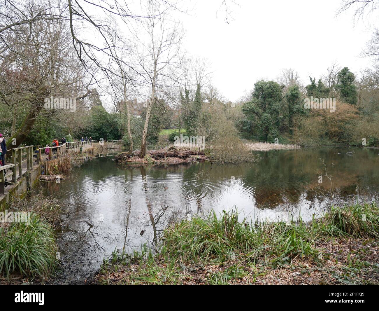 Keston Pond High Resolution Stock Photography and Images - Alamy