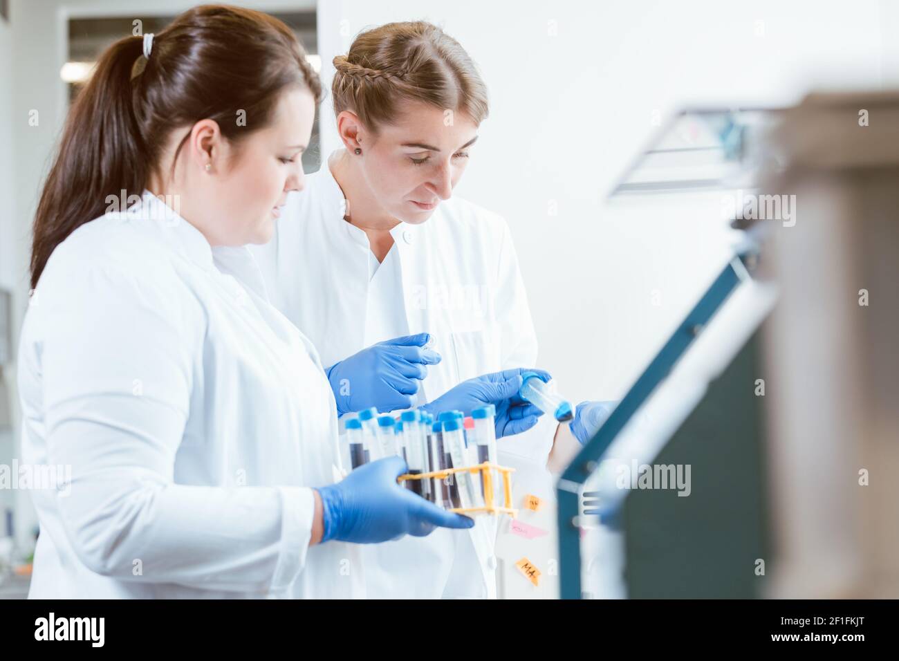 Female scientists looking at samples in test tube Stock Photo - Alamy