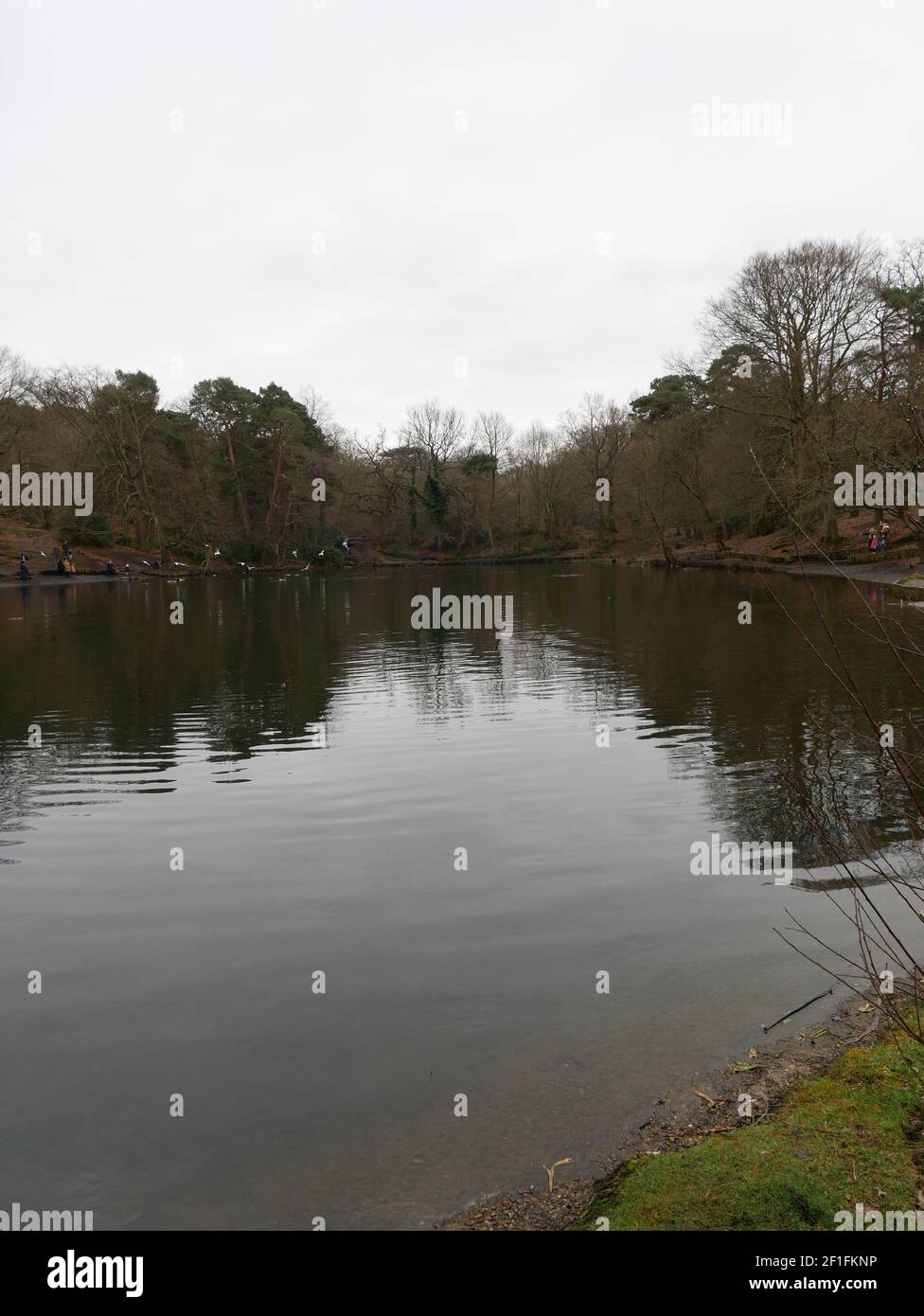 Hayes and Keston Commons, Kent, England Stock Photo - Alamy