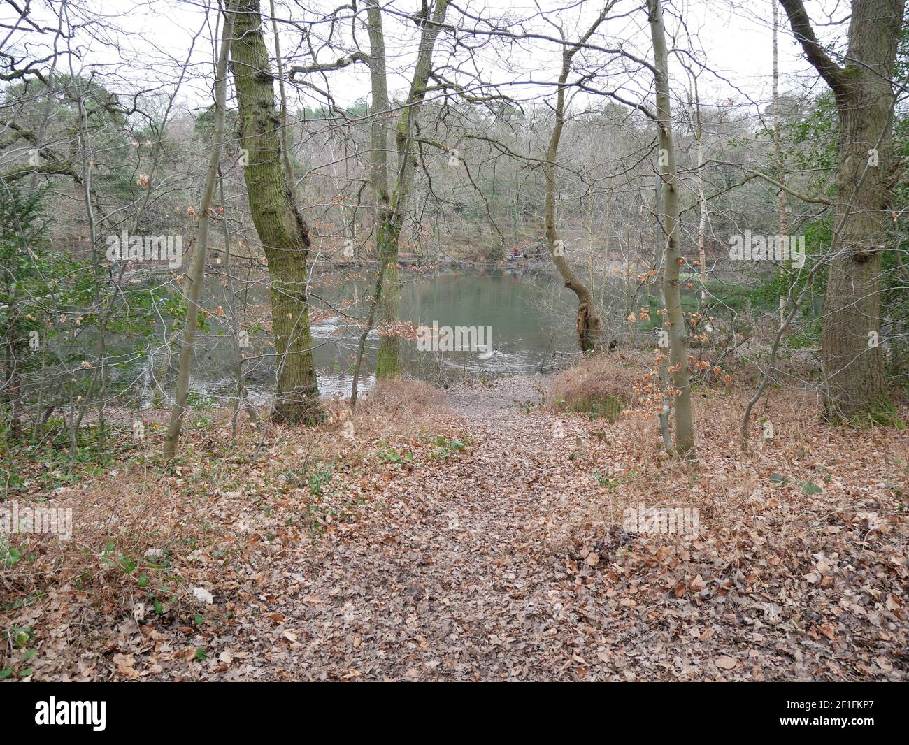 Hayes and Keston Commons, Kent, England Stock Photo - Alamy