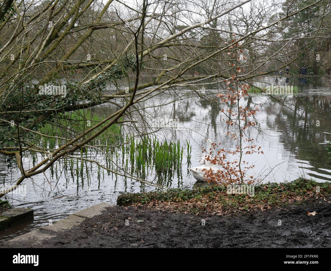 Hayes and Keston Commons, Kent, England Stock Photo - Alamy