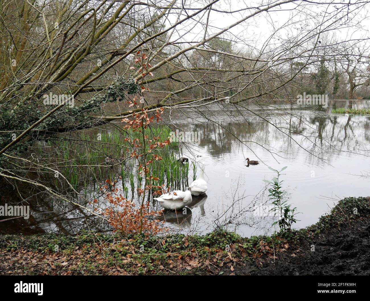 Hayes and Keston Commons, Kent, England Stock Photo - Alamy