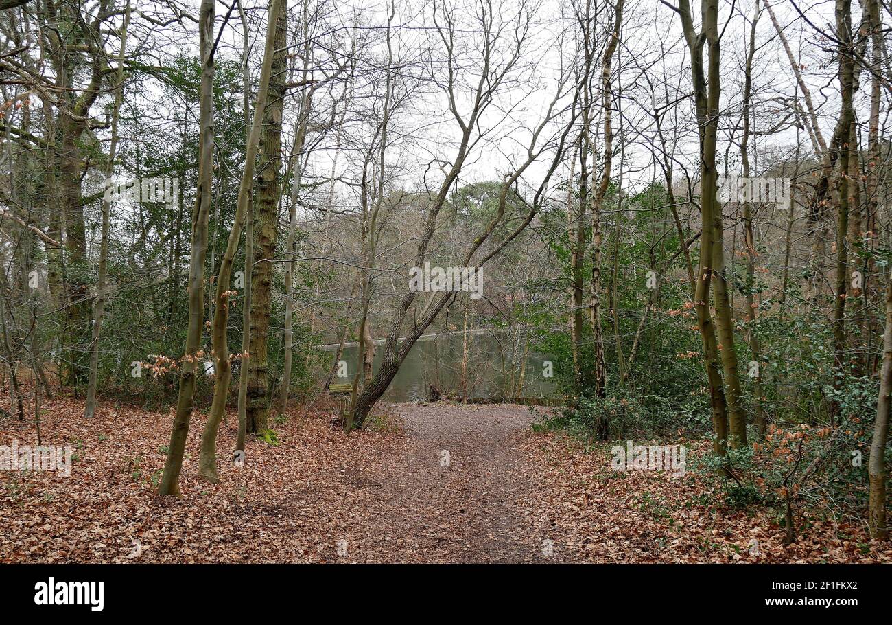 Hayes and Keston Commons, Kent, England Stock Photo - Alamy