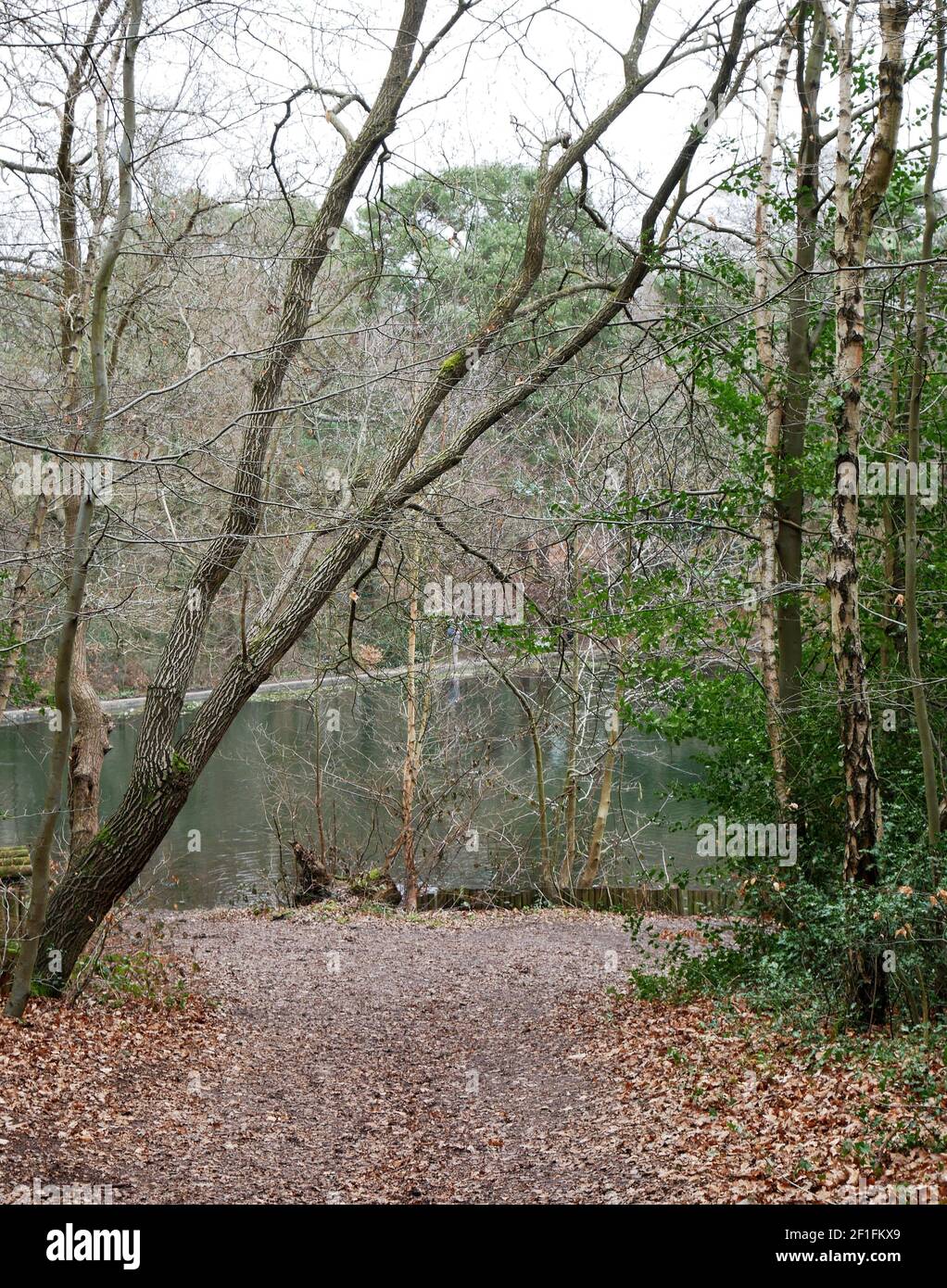 Hayes and Keston Commons, Kent, England Stock Photo - Alamy