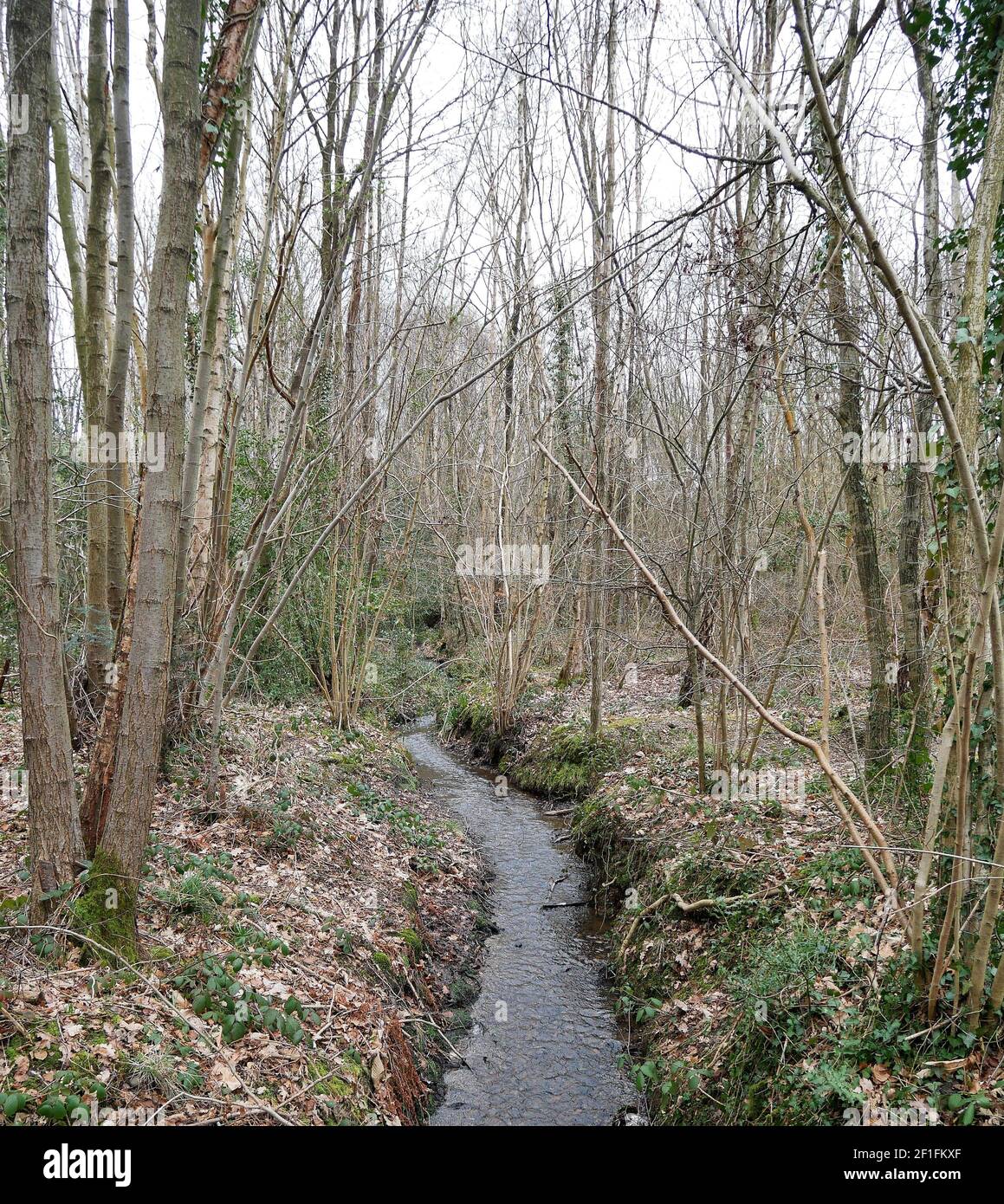Hayes and Keston Commons, Kent, England Stock Photo - Alamy
