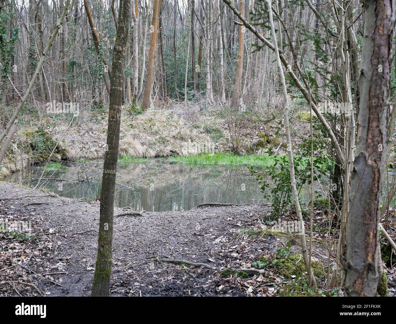 Hayes and Keston Commons, Kent, England Stock Photo - Alamy